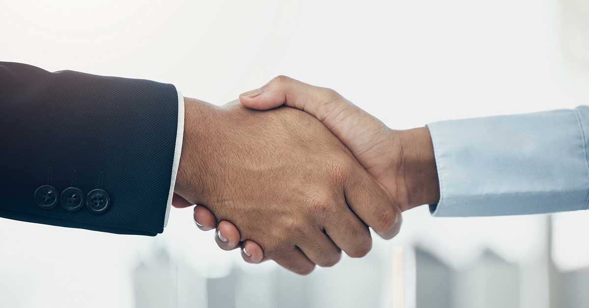 Executive and Senior Management